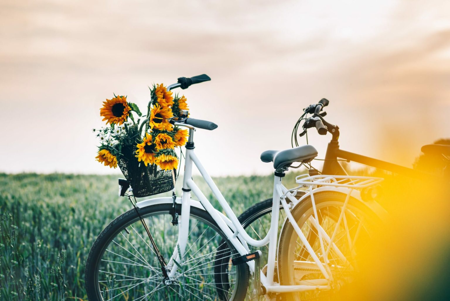 Bike Grips – V-Grip